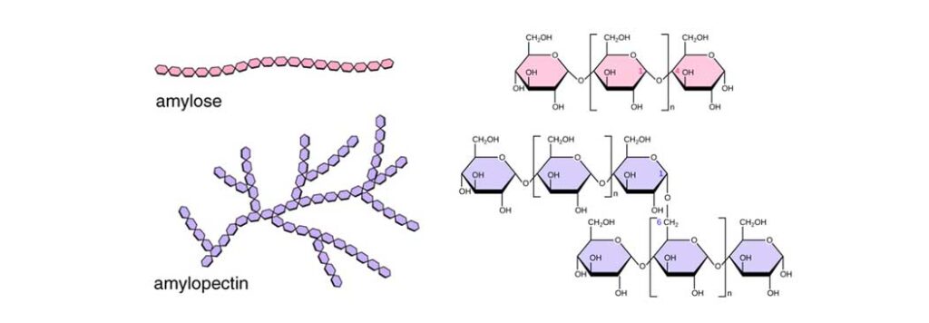 Flaked Adjuncts in Brewing: A Mechanistic Mini-Review — Brewology