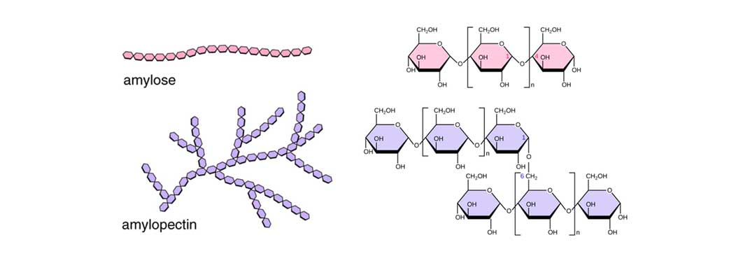 Flaked Adjuncts in Brewing: A Mechanistic Mini-Review — Brewology