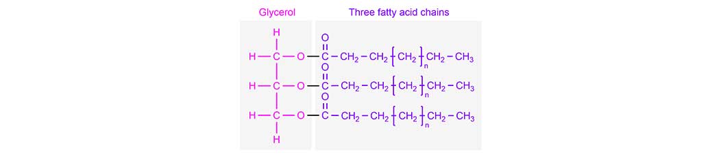 Flaked Adjuncts in Brewing: A Mechanistic Mini-Review — Brewology